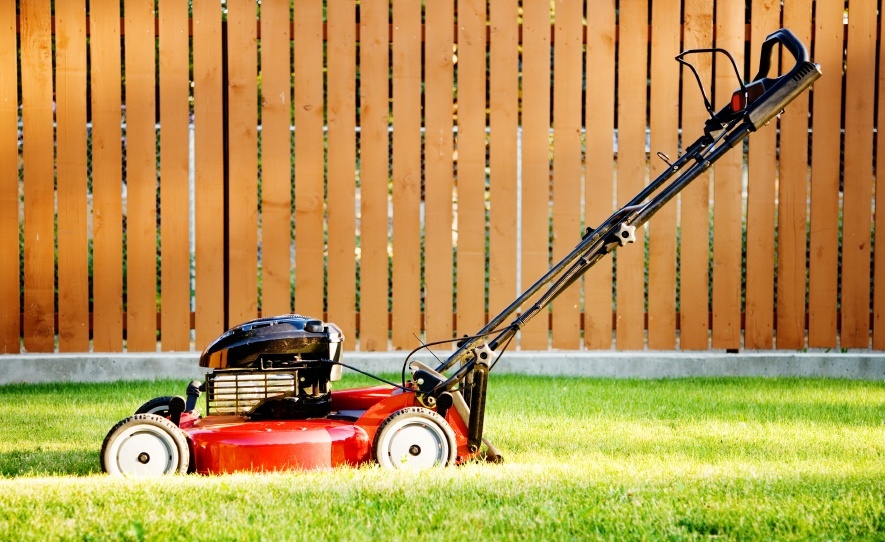Choosing a lawn mower: What to think about
